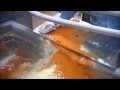 How It’s Made – Hot Dogs | Mr Mondialisation