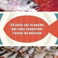 35 faits sur la pêche industrielle qui vous couperont l’appétit…