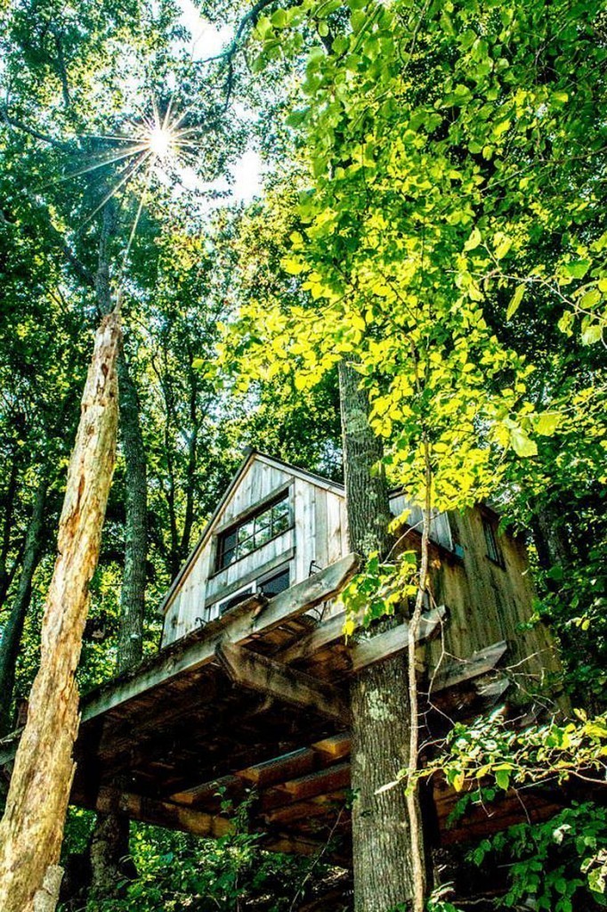 Ils auto-construisent la cabane de leurs rêves au cœur d’une forêt