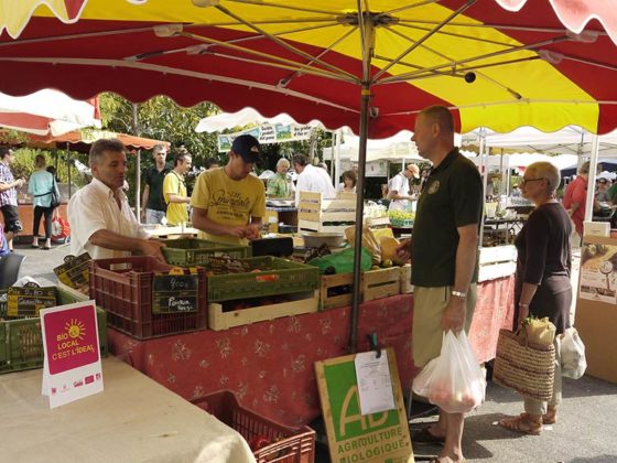 "Manger bio et local, c'est l'idéal", Stéphanie Pageot nous explique ...