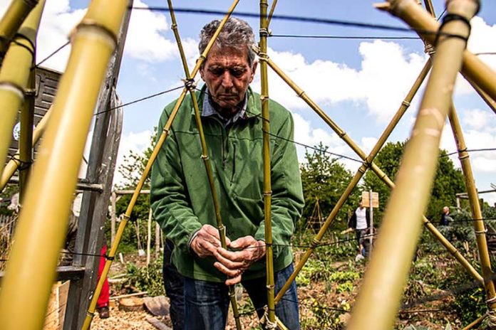 Les jardins partagés de Rennes photographiés par Martin Bertrand