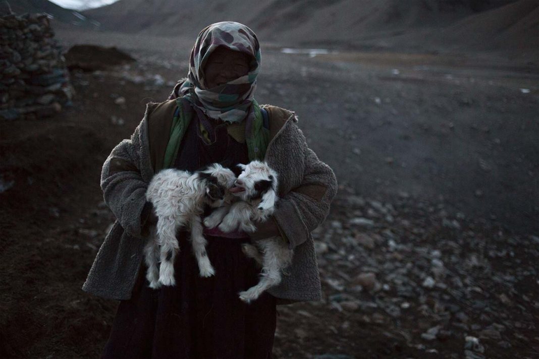 Rencontre avec les populations nomades de l’Himalaya