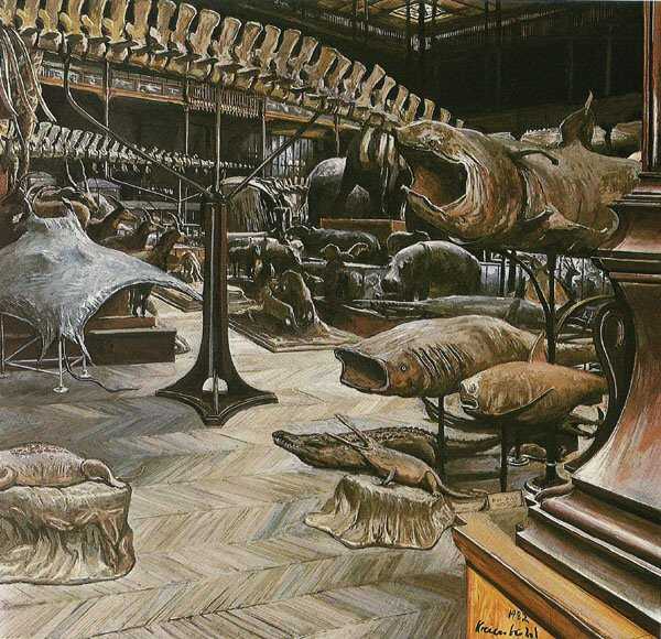 1982 -J. Kreienbühl – La Galerie de Zoologie, avec requin-pèlerin ...