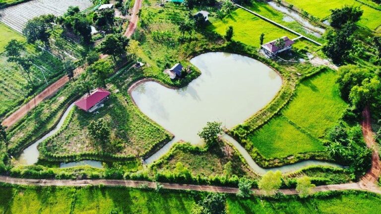 Suwan : une ferme biologique thaïlandaise visant la solidarité alimentaire