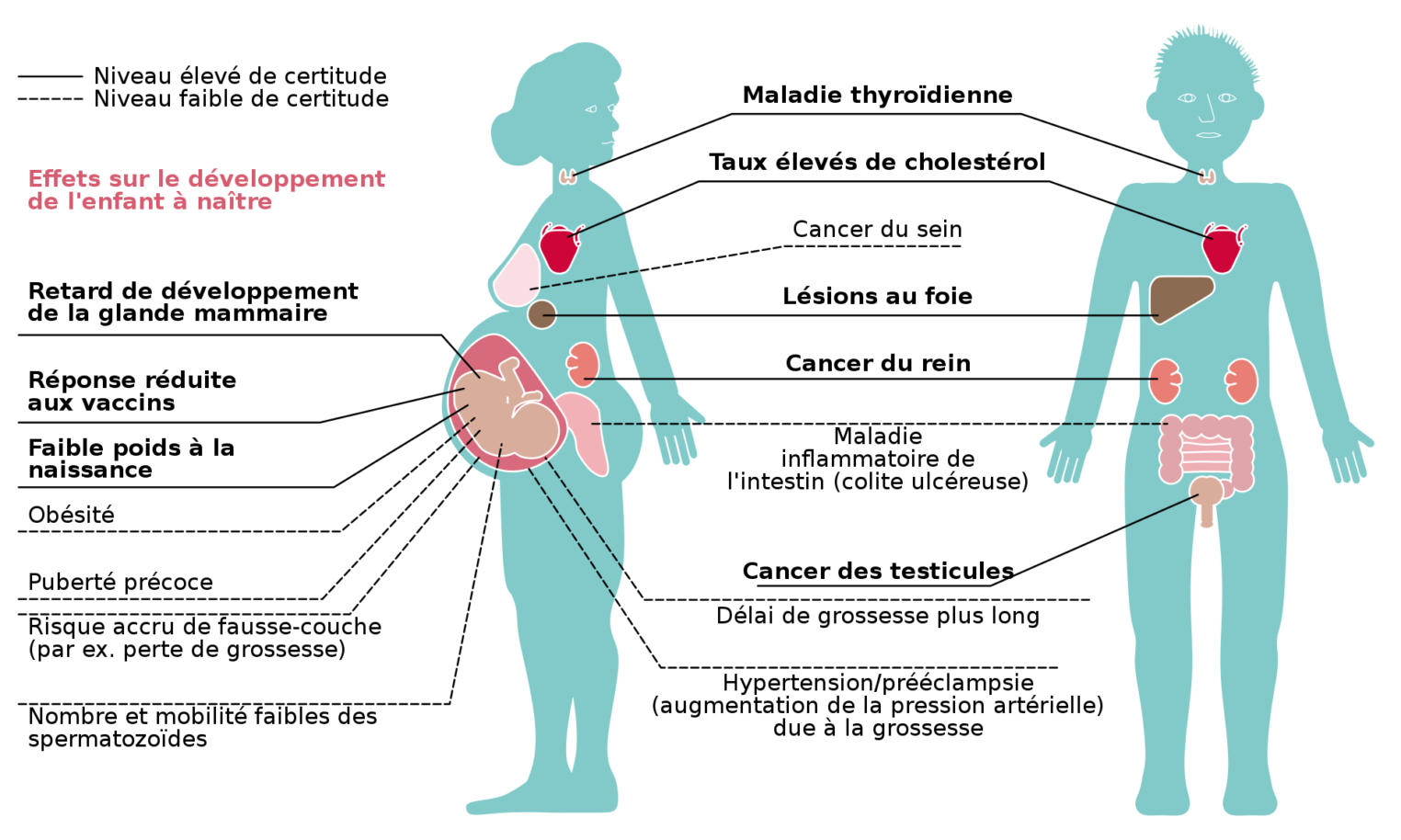 Polluants Chimiques Éternels : ce fléau industriel ignoré