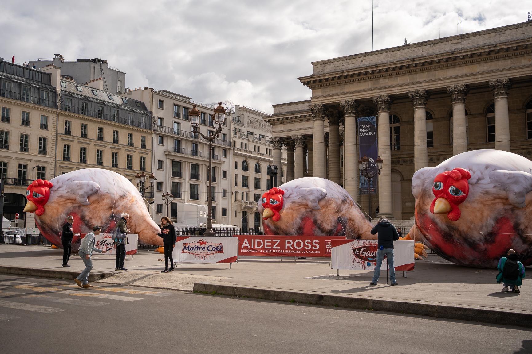 Ross-Web-6 | Mr Mondialisation