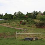 La-roue-libre-07 | Mr Mondialisation